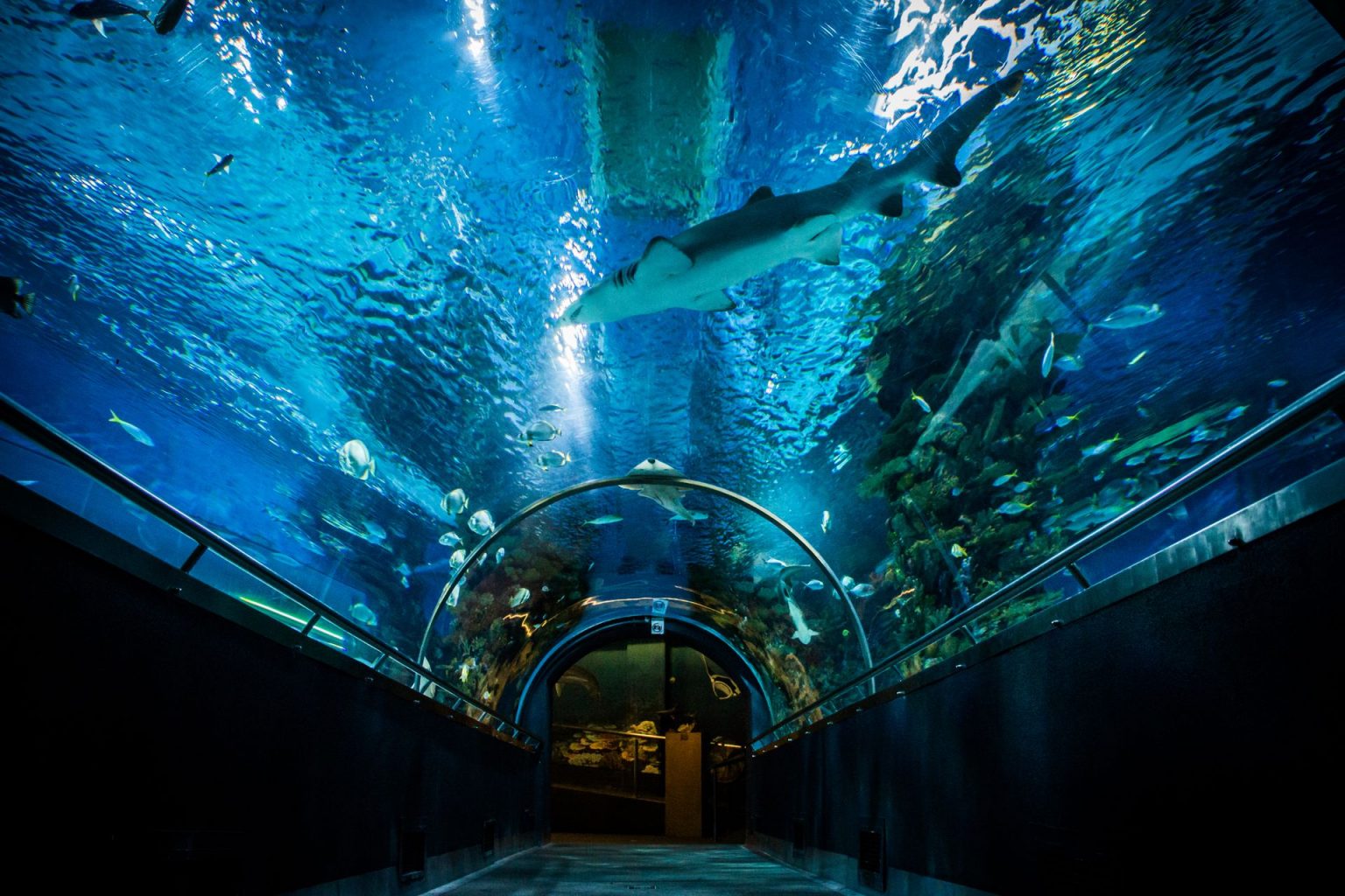 Tropicarium - Utazasok.org